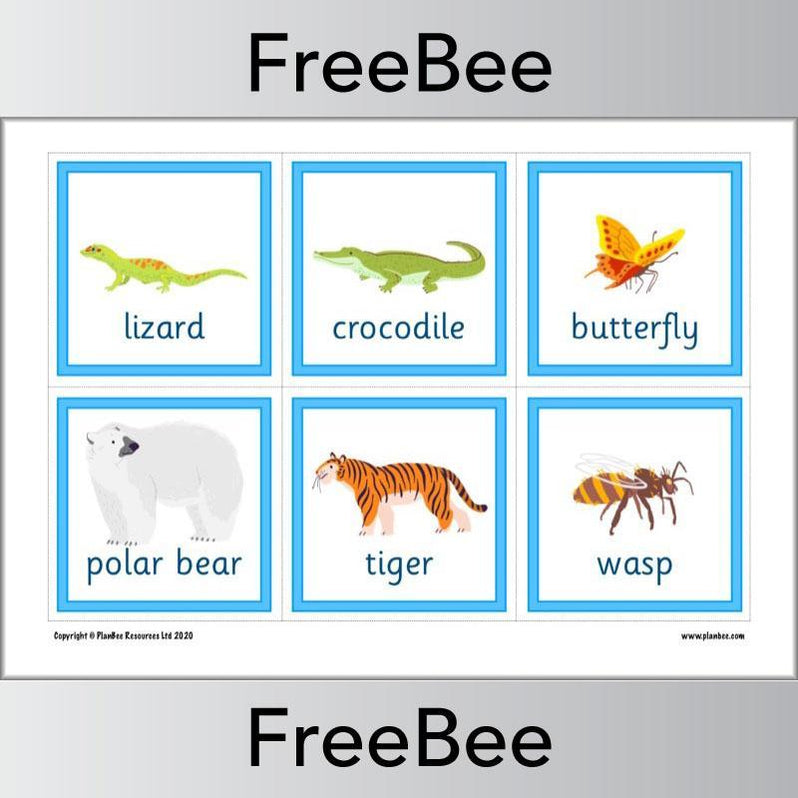 Animal Flashcards | Free Teaching Resources | PlanBee