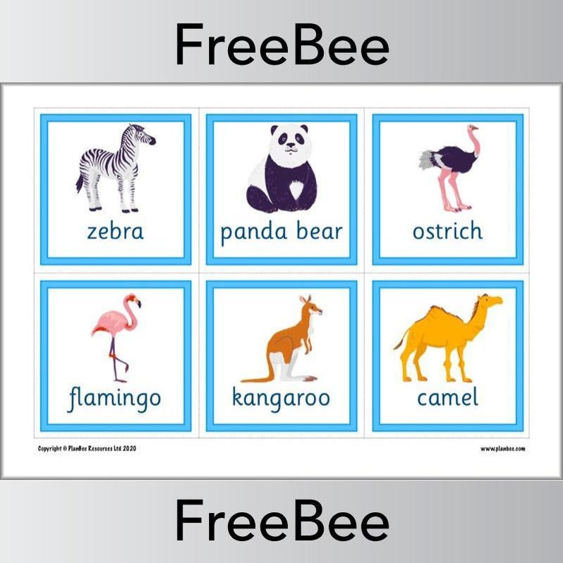 Animal Flashcards | Free Teaching Resources | PlanBee