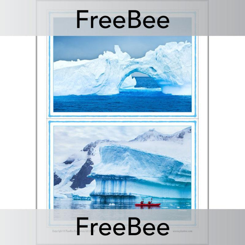 FREE Antarctica Classroom Display Cards by PlanBee