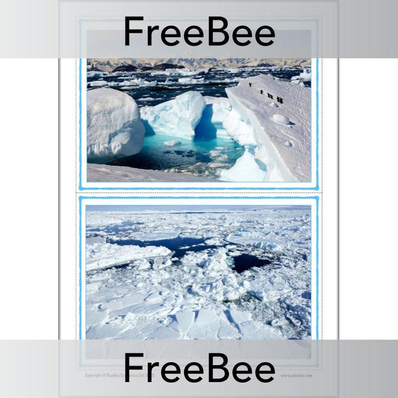 FREE Antarctica Classroom Display Cards by PlanBee