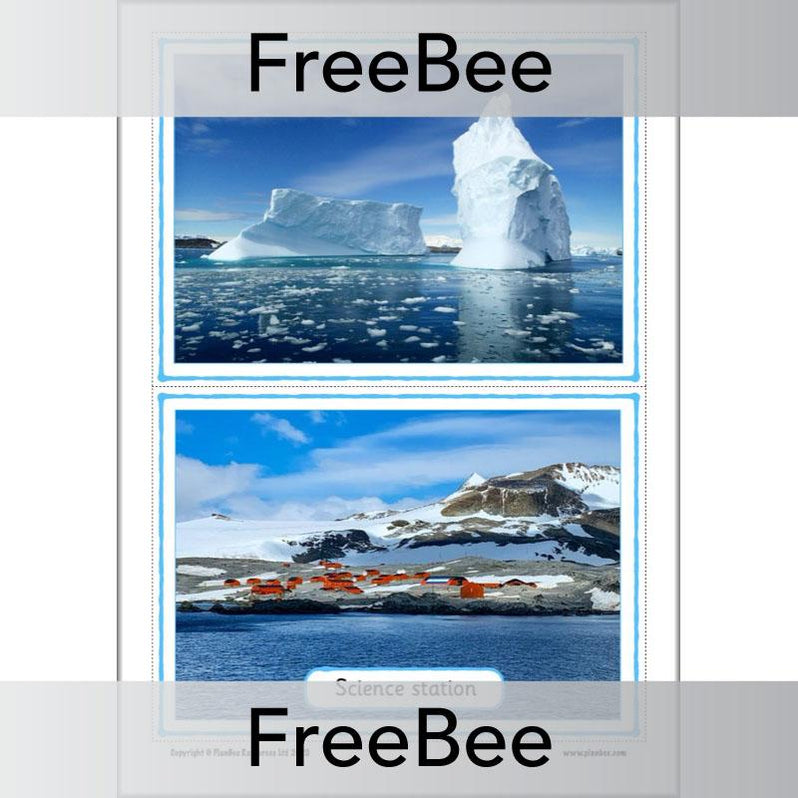 FREE Antarctica Classroom Display Cards by PlanBee
