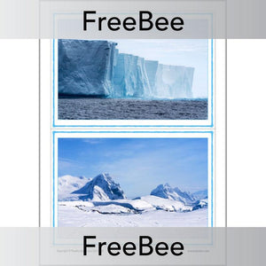 FREE Antarctica Classroom Display Cards by PlanBee