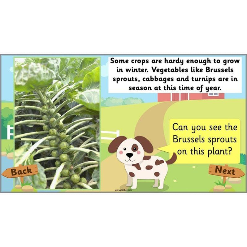 At the Farm lesson plans KS1 Geography pack by PlanBee