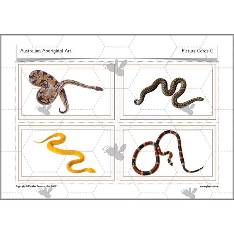 KS1 Aboriginal Art Lesson plan and resources by PlanBee