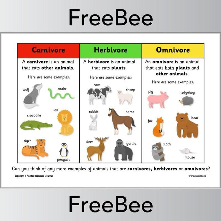 Omnivore Examples Animals Heterotrophs | BioNinja