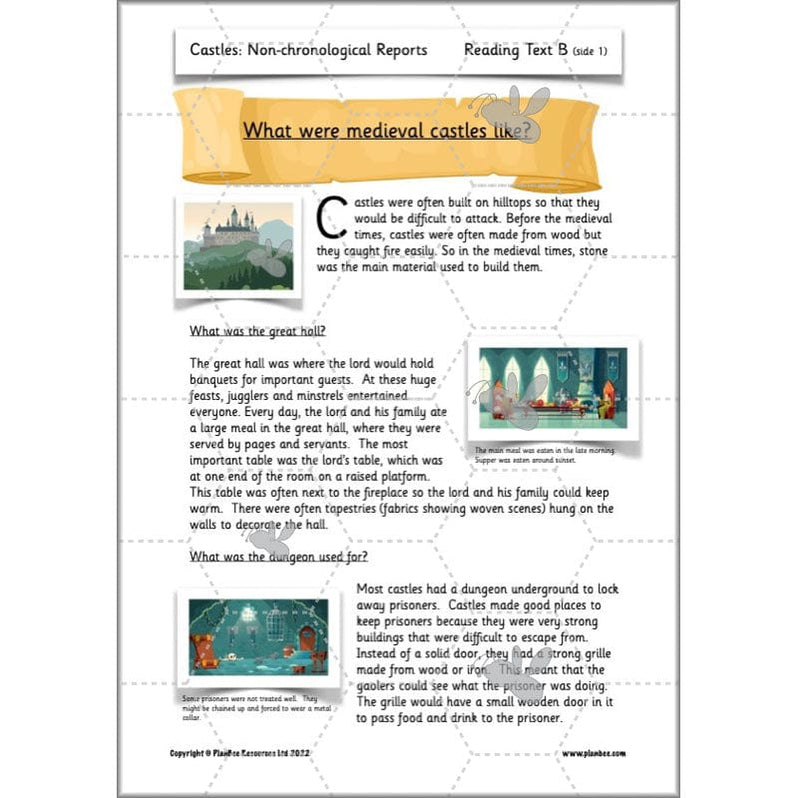 Castles Non-Chronological Reports Year 2 English by PlanBee