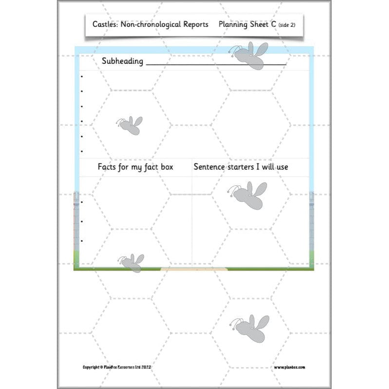 Castles Non-Chronological Reports Year 2 English by PlanBee