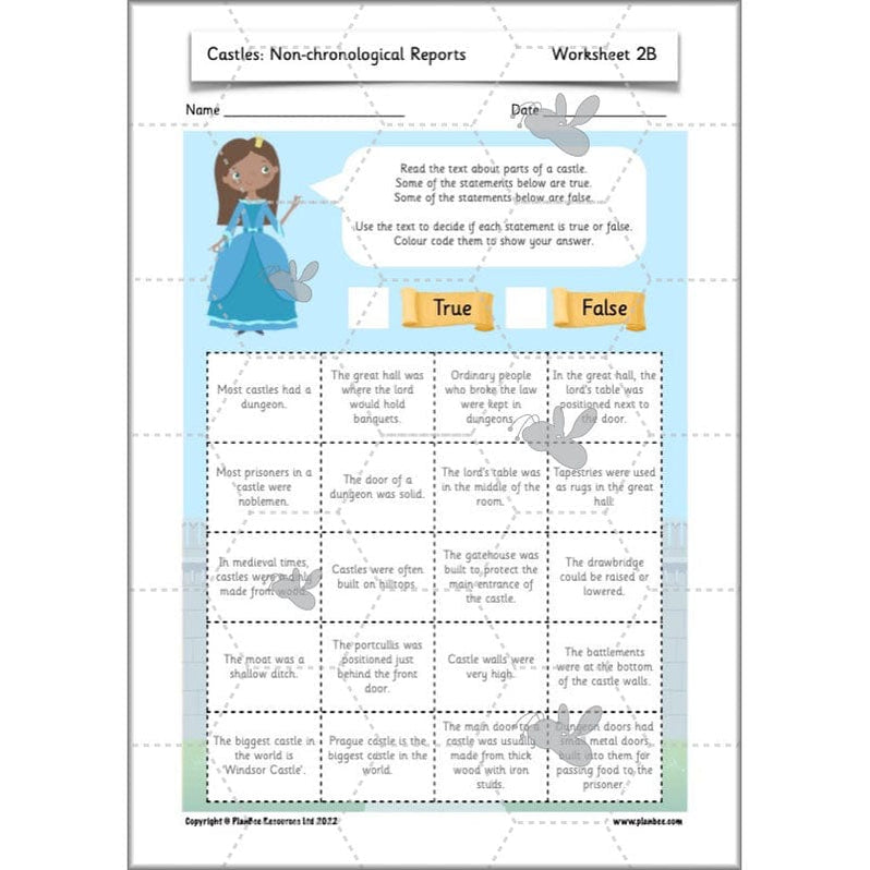 Castles Non-Chronological Reports Year 2 English by PlanBee