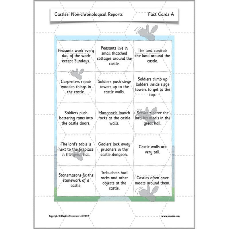 Castles Non-Chronological Reports Year 2 English by PlanBee