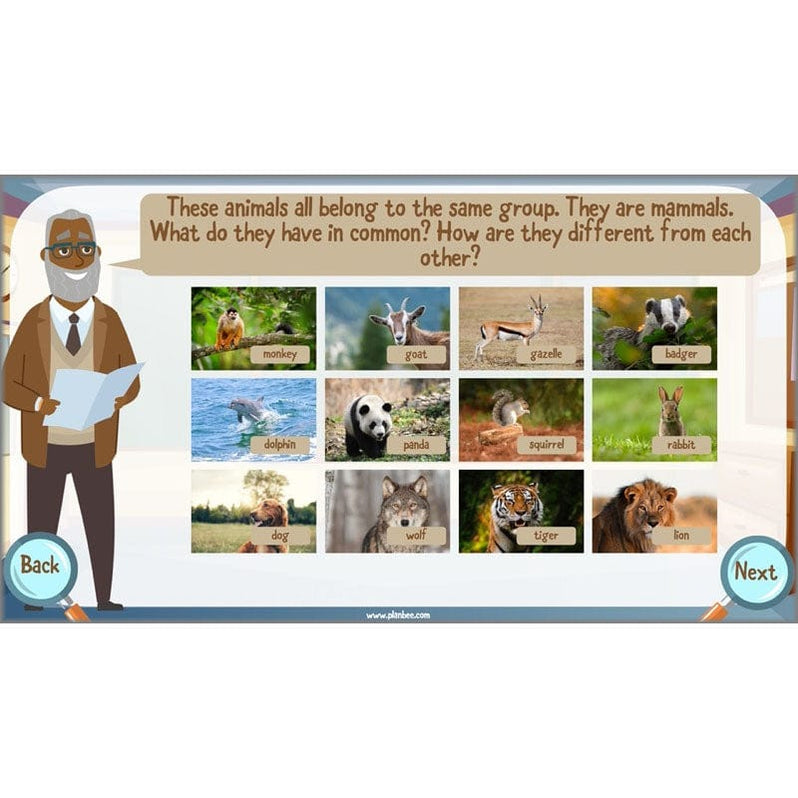 Living Things and their Habitats Year 6 Science by PlanBee
