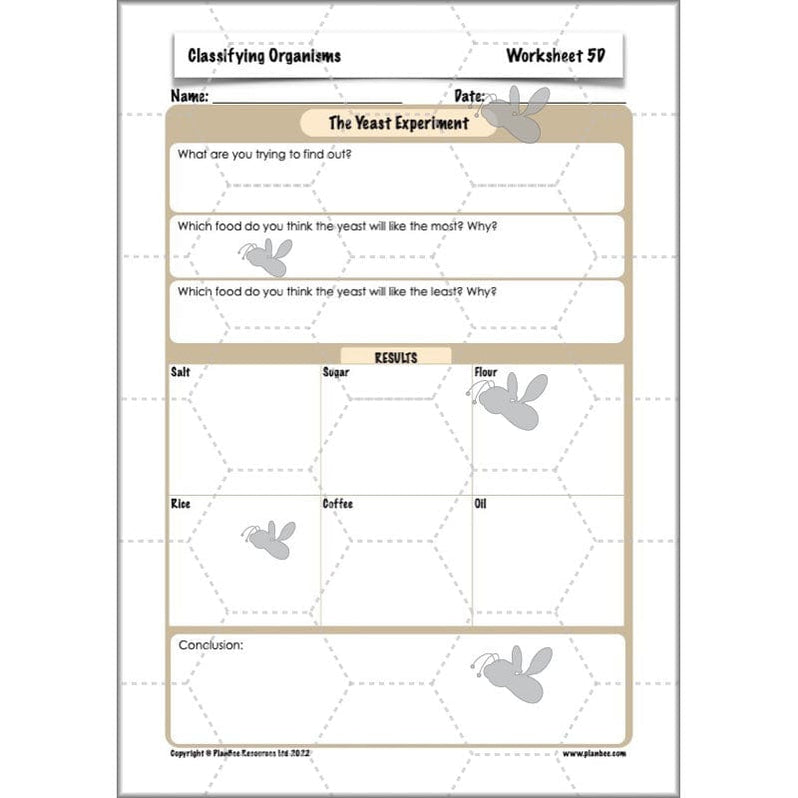 Living Things and their Habitats Year 6 Science by PlanBee