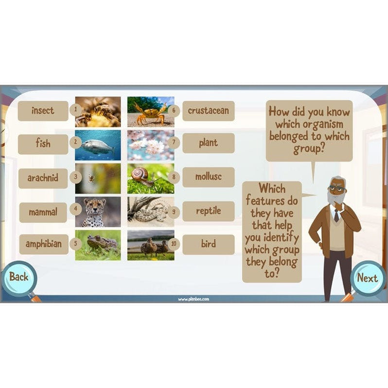 Living Things and their Habitats Year 6 Science by PlanBee