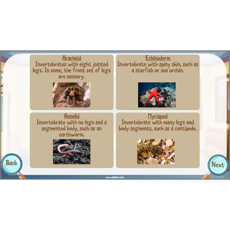 Living Things and their Habitats Year 6 Science by PlanBee