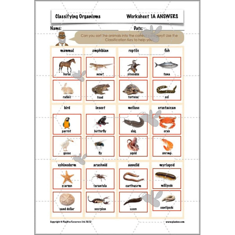 Living Things and their Habitats Year 6 Science by PlanBee