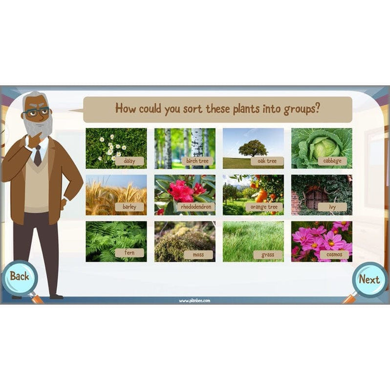 Living Things and their Habitats Year 6 Science by PlanBee