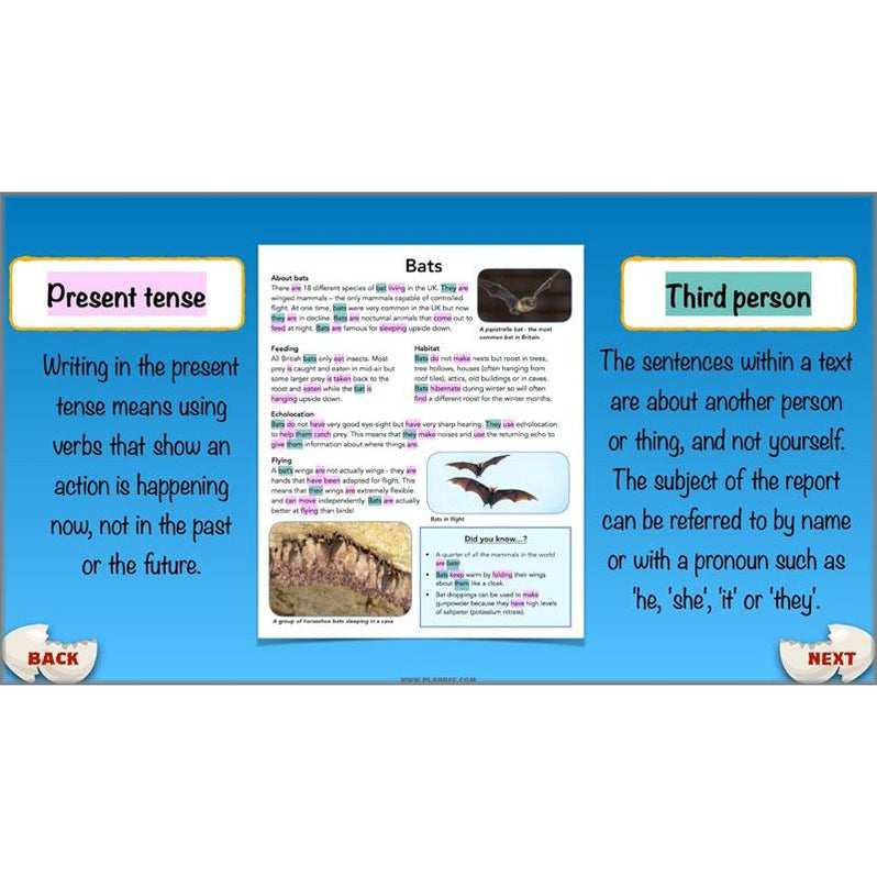 Dragons Non-chronological Reports KS2 Resources by PlanBee