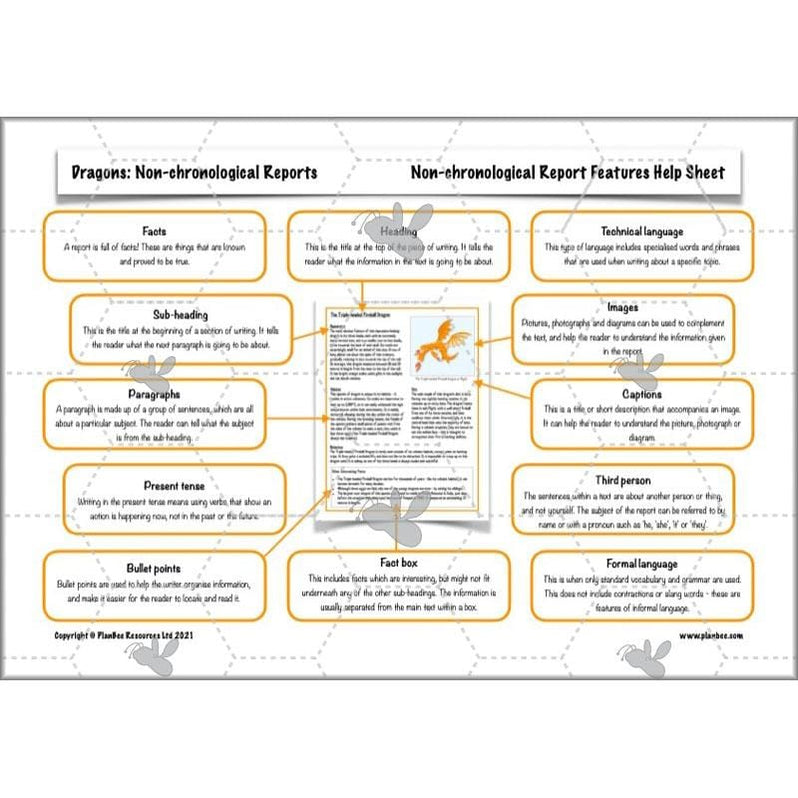 Dragons Non-chronological Reports KS2 Resources by PlanBee