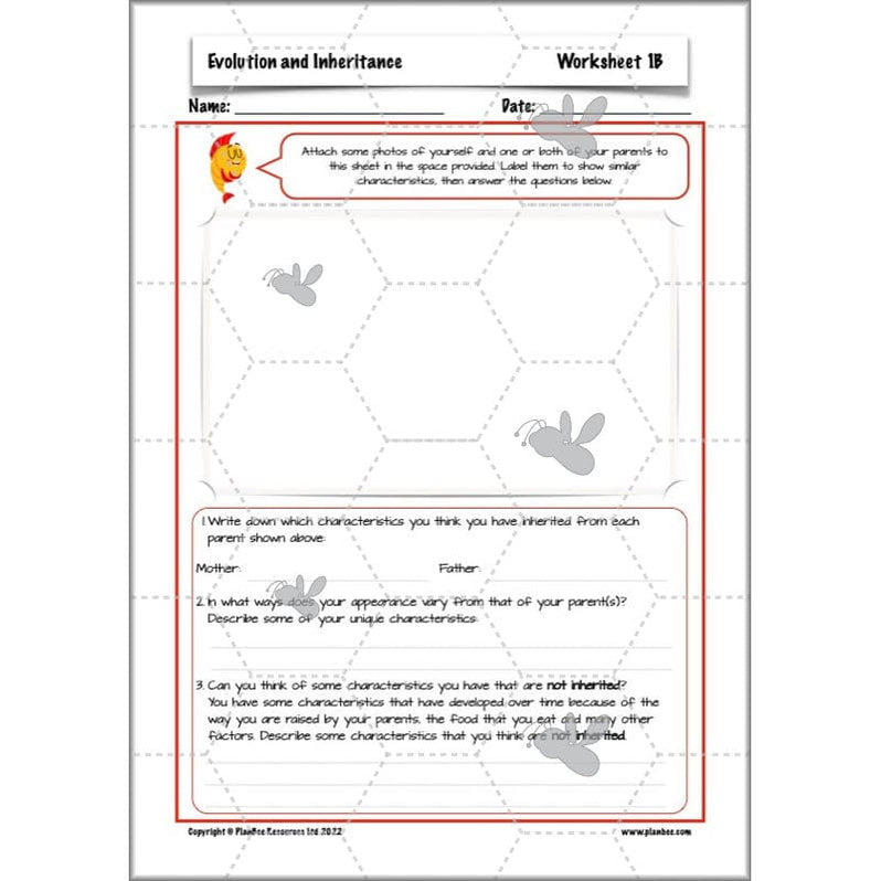 Year 6 Evolution and Inheritance KS2 | Science from PlanBee