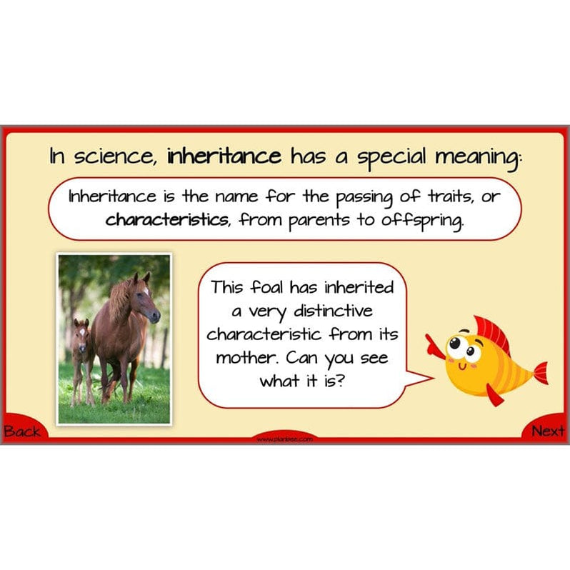Year 6 Evolution and Inheritance KS2 | Science from PlanBee