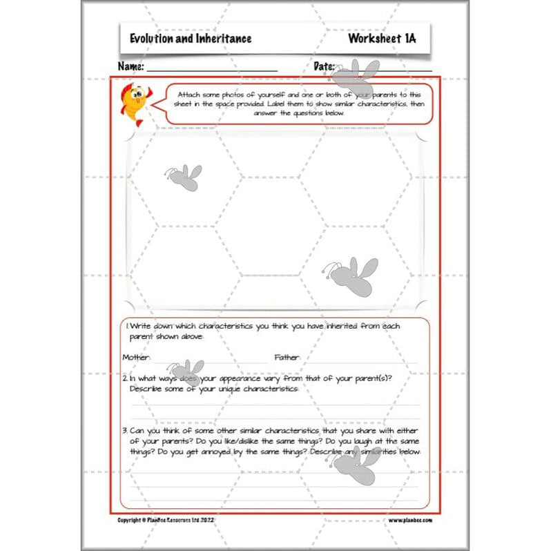 Year 6 Evolution and Inheritance KS2 | Science from PlanBee