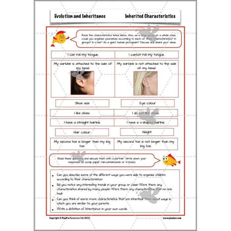 Year 6 Evolution and Inheritance KS2 | Science from PlanBee