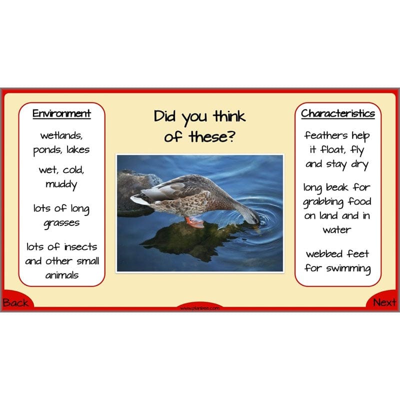 Year 6 Evolution and Inheritance KS2 | Science from PlanBee