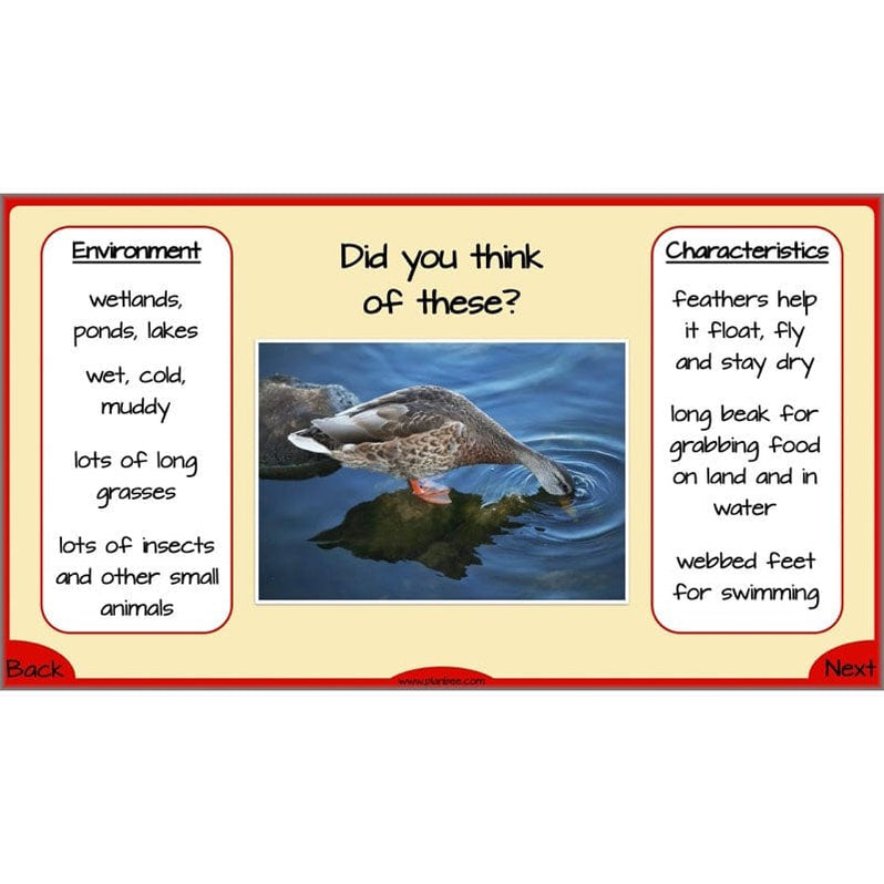 Year 6 Evolution and Inheritance KS2 | Science from PlanBee