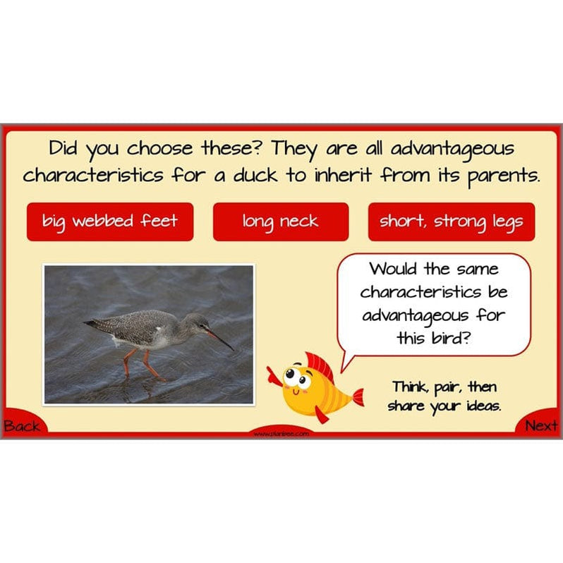 Year 6 Evolution and Inheritance KS2 | Science from PlanBee