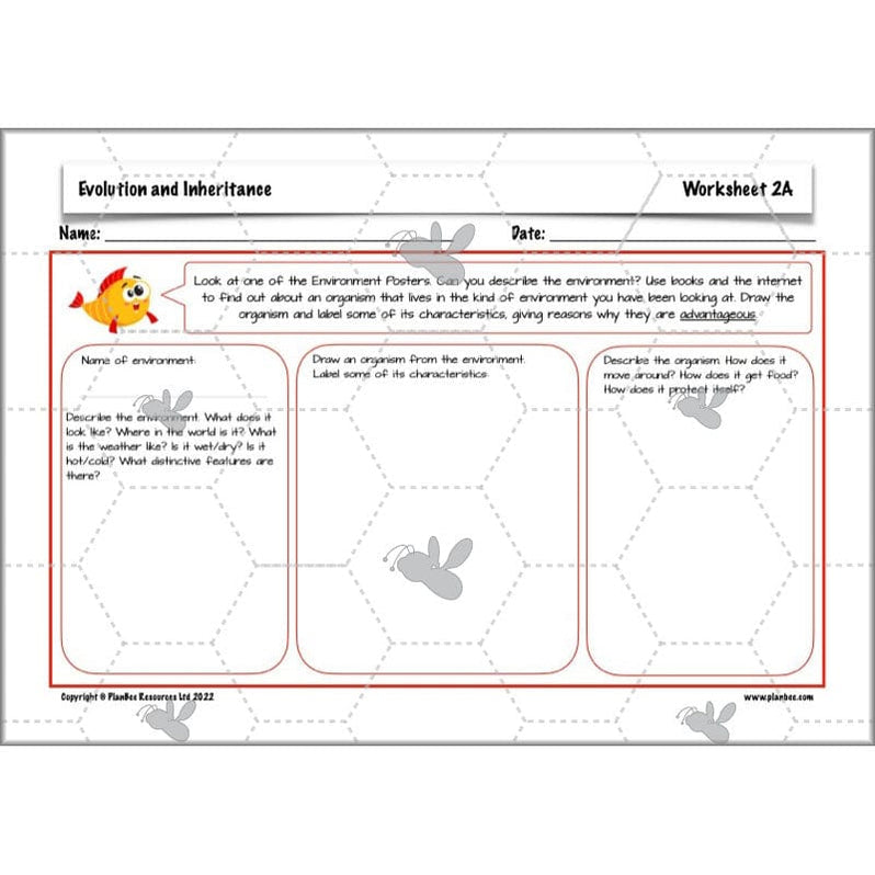 Year 6 Evolution and Inheritance KS2 | Science from PlanBee