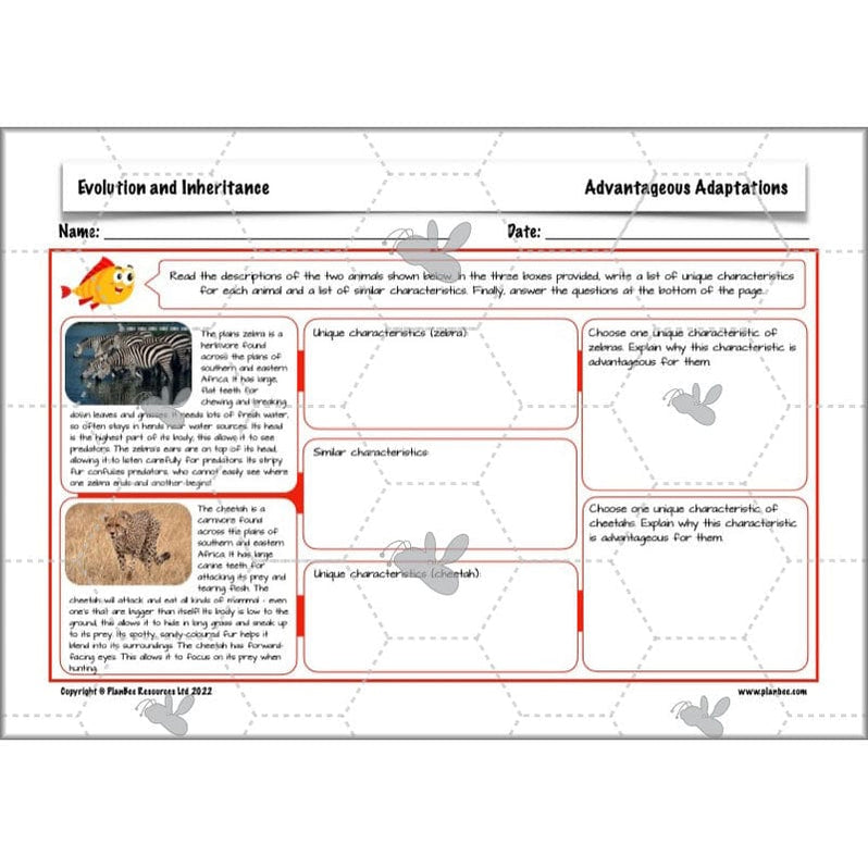 Year 6 Evolution and Inheritance KS2 | Science from PlanBee