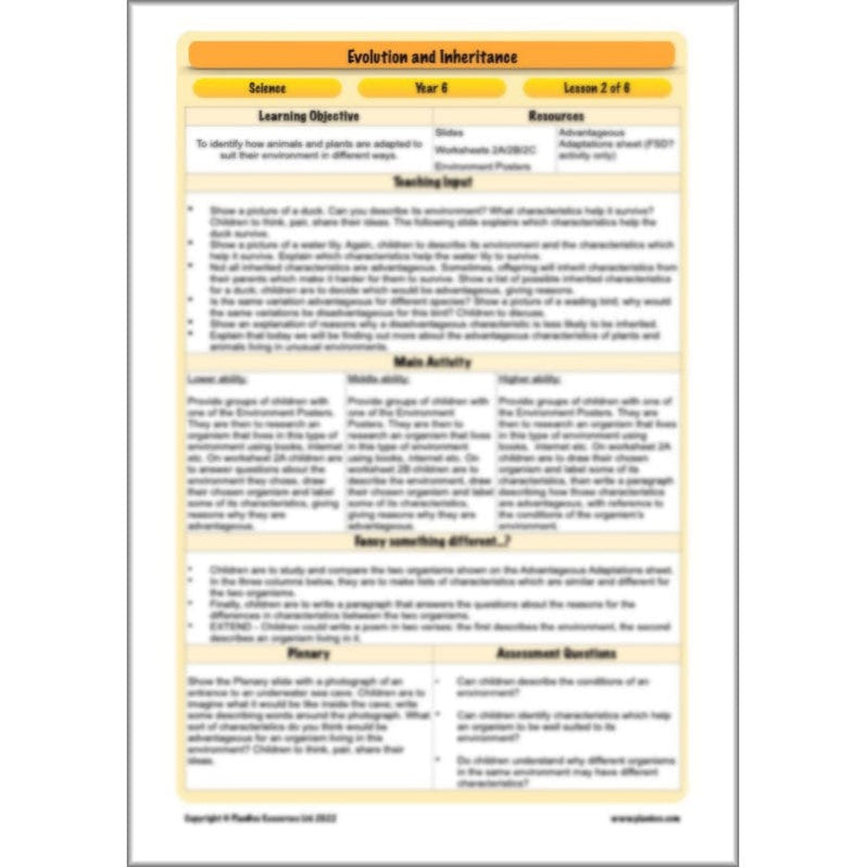 Year 6 Evolution and Inheritance KS2 | Science from PlanBee