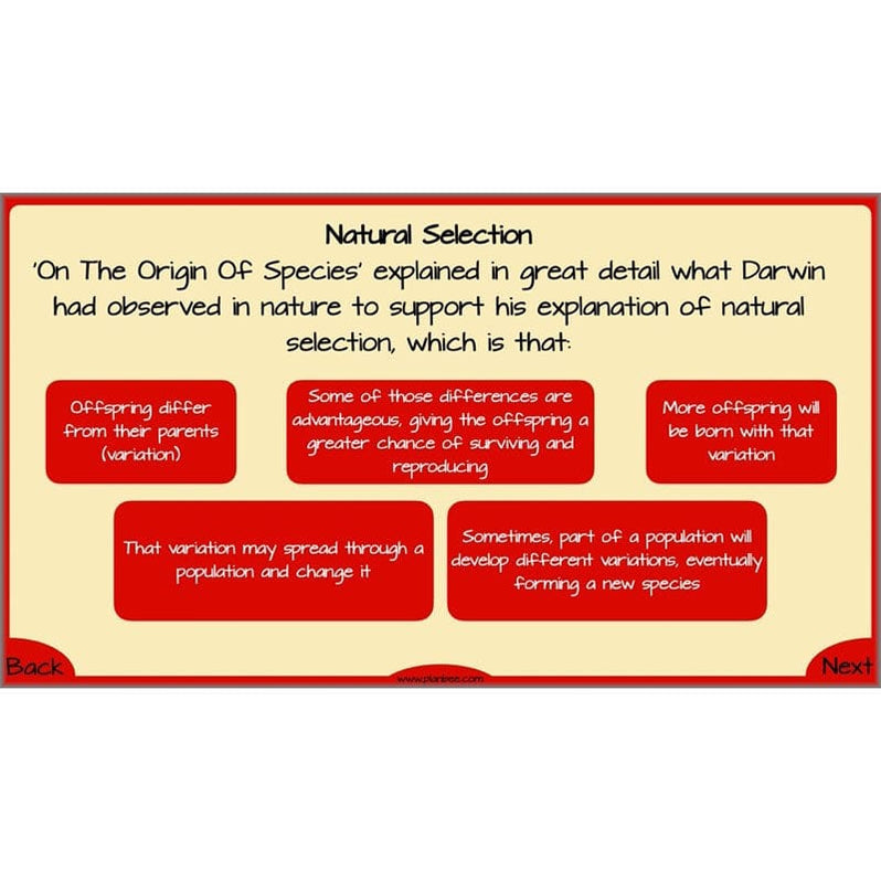 Year 6 Evolution and Inheritance KS2 | Science from PlanBee