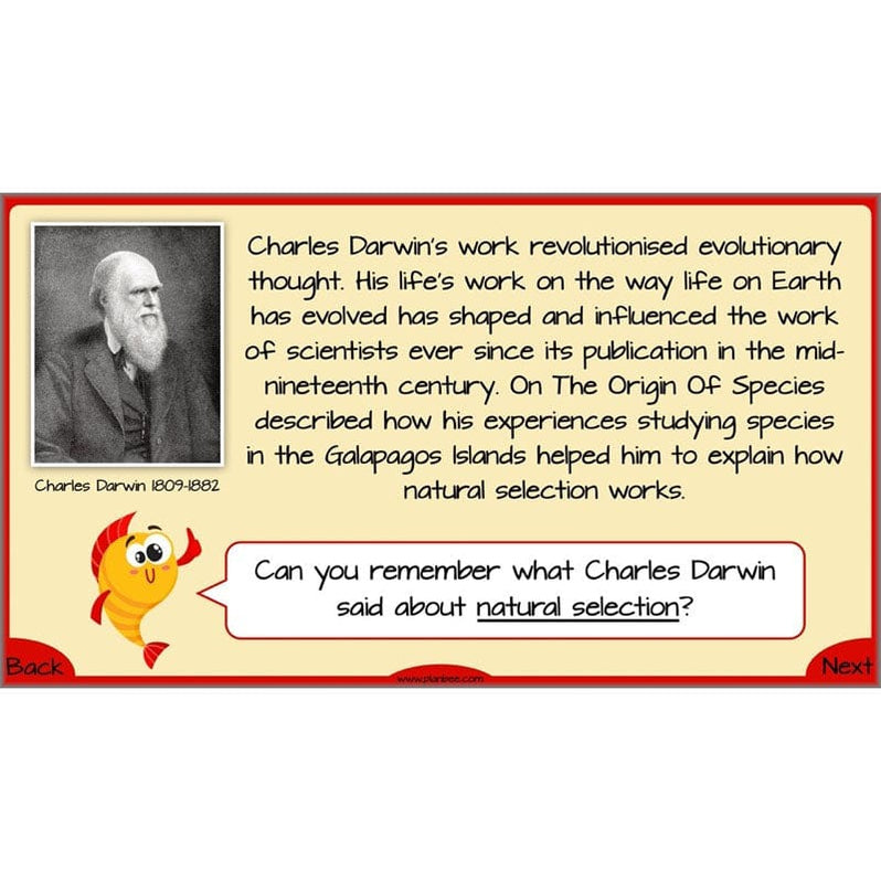 Year 6 Evolution and Inheritance KS2 | Science from PlanBee