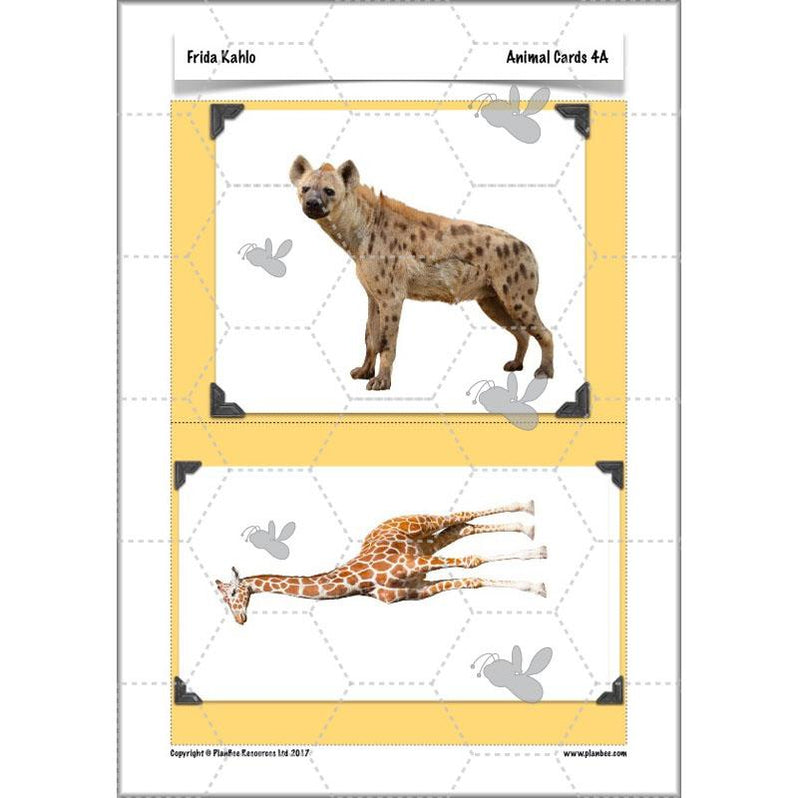 KS2 Frida Kahlo for Kids Art Lesson Pack by PlanBee