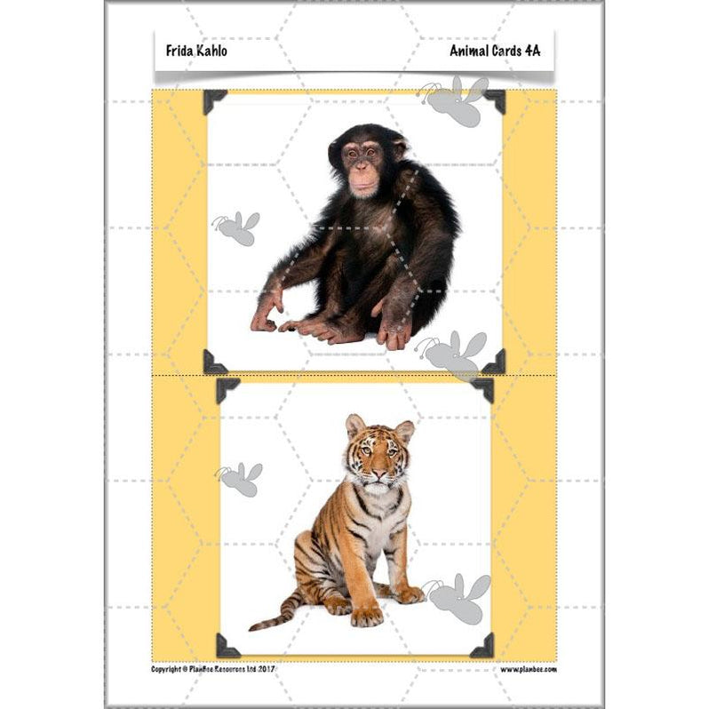 KS2 Frida Kahlo for Kids Art Lesson Pack by PlanBee