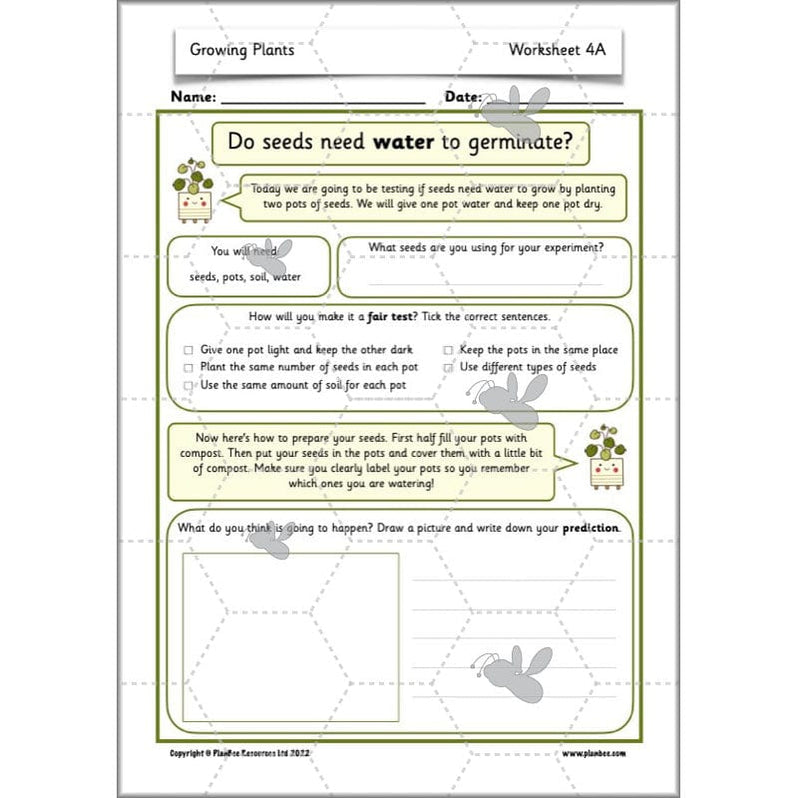 Growing Plants KS1 Plants Year 2 Science Resources | PlanBee