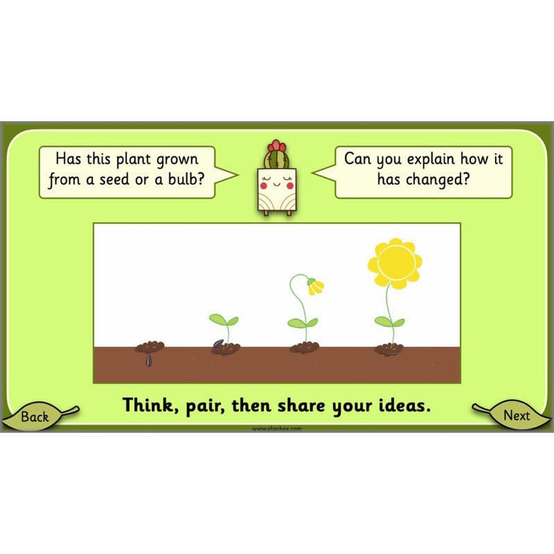 Growing Plants KS1 Plants Year 2 Science Resources | PlanBee