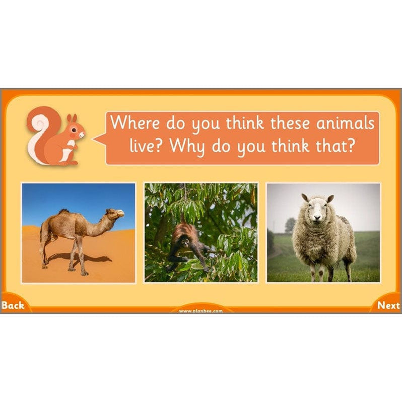 Growth and Survival: Animals including Humans Year 2 Science — PlanBee