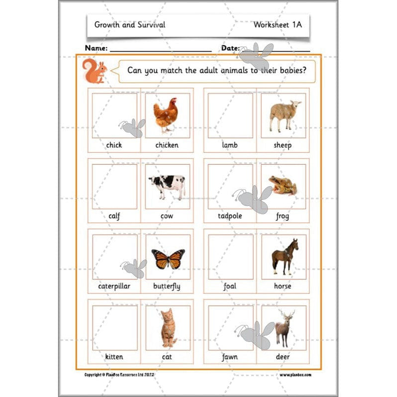Growth and Survival: Animals including Humans Year 2 Science — PlanBee