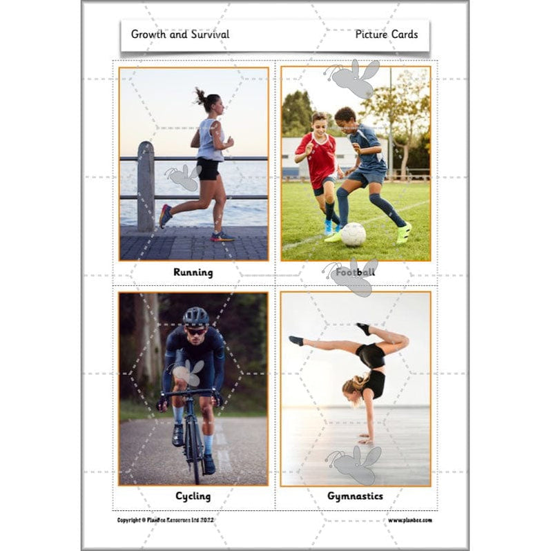 Growth and Survival: Animals including Humans Year 2 Science — PlanBee