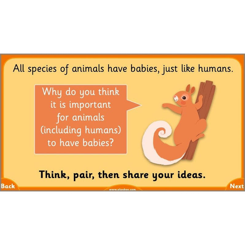 Growth and Survival: Animals including Humans Year 2 Science — PlanBee