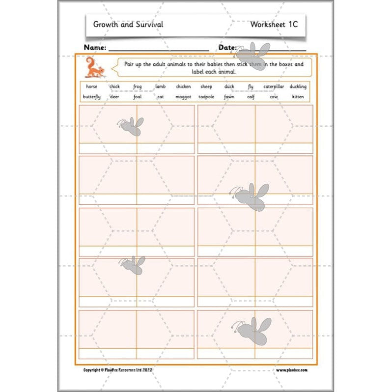 Growth and Survival: Animals including Humans Year 2 Science — PlanBee