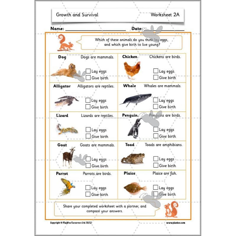 Growth and Survival: Animals including Humans Year 2 Science — PlanBee