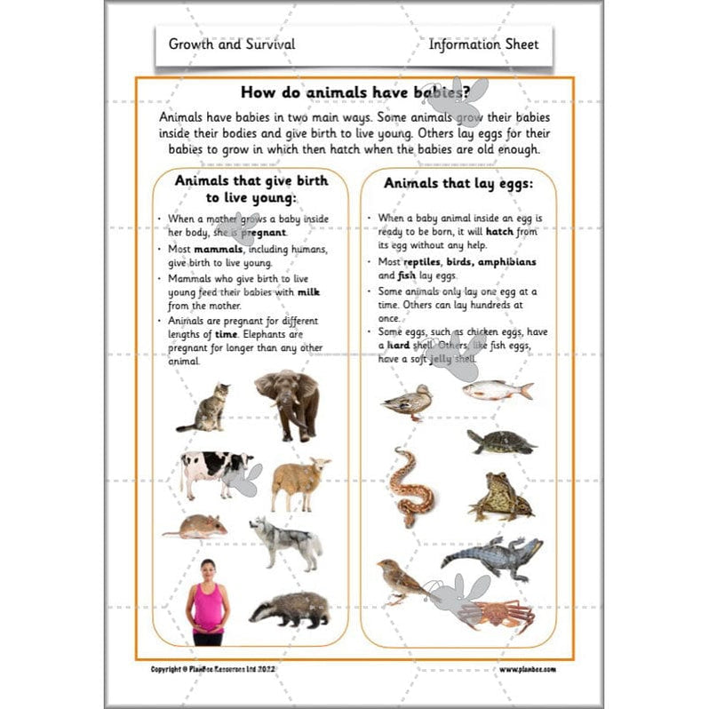 Growth and Survival: Animals including Humans Year 2 Science — PlanBee