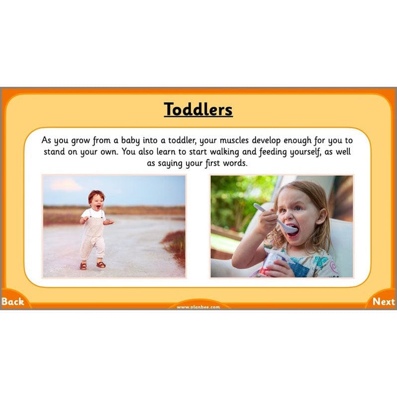 Growth and Survival: Animals including Humans Year 2 Science — PlanBee