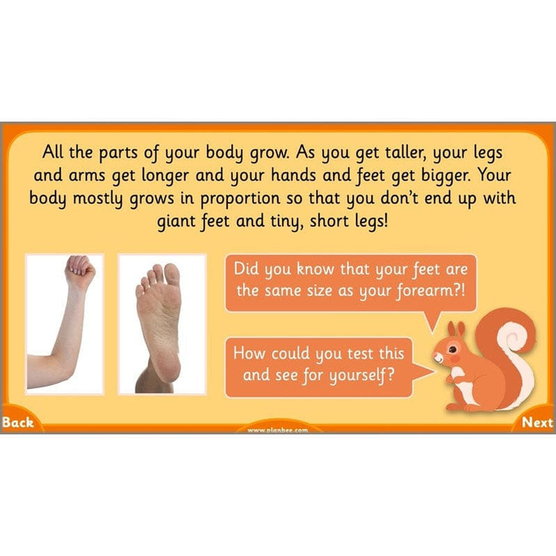 Growth and Survival: Animals including Humans Year 2 Science — PlanBee