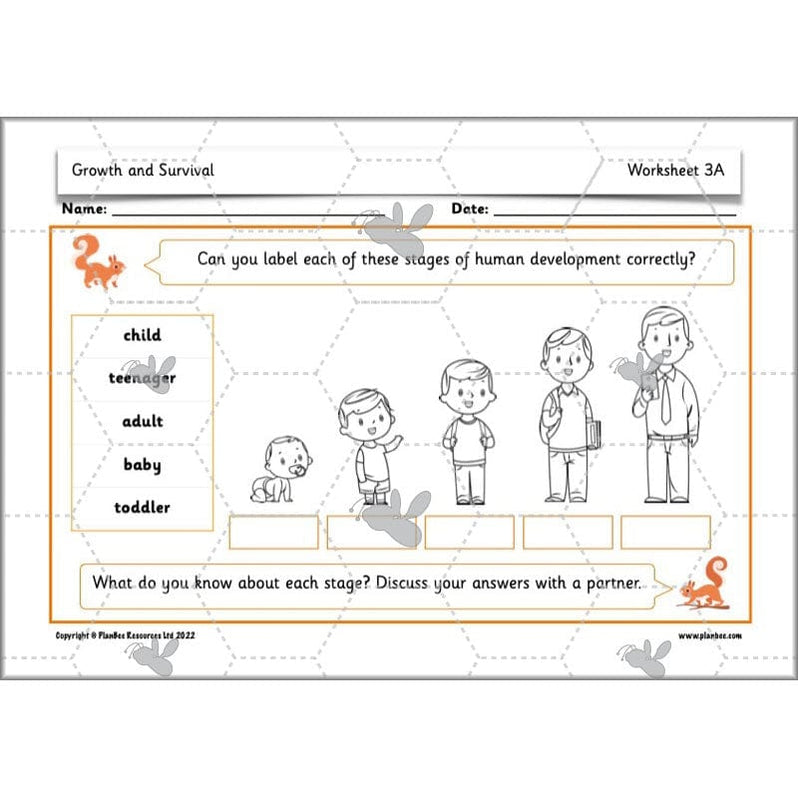 Growth and Survival: Animals including Humans Year 2 Science — PlanBee