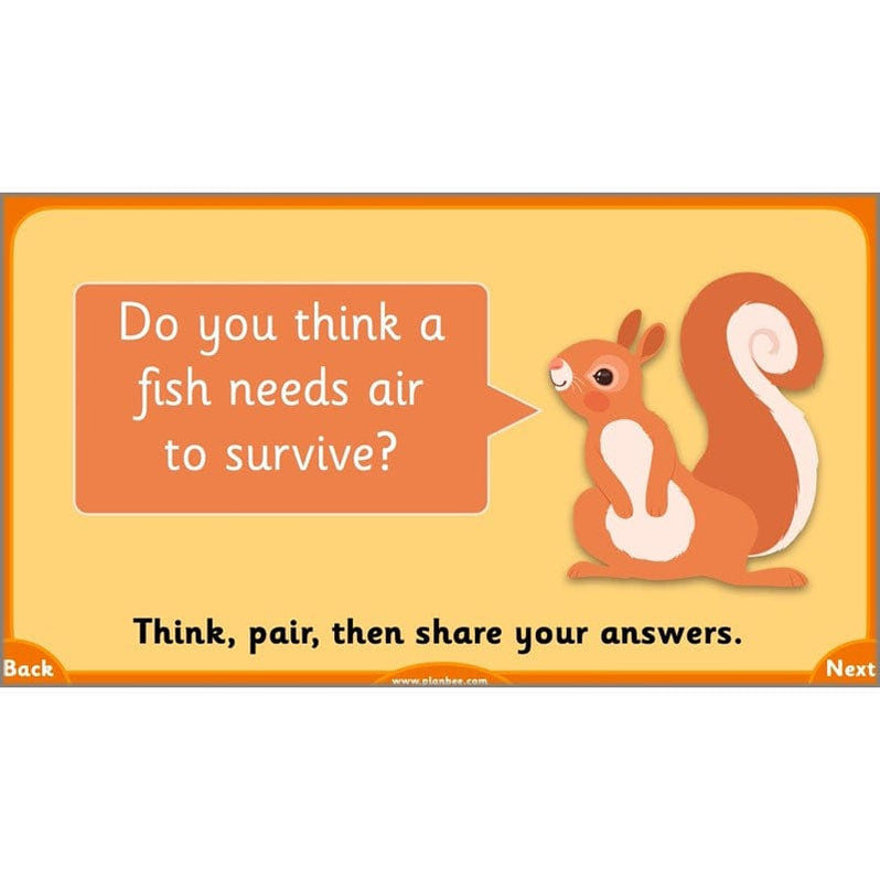 Growth and Survival: Animals including Humans Year 2 Science — PlanBee
