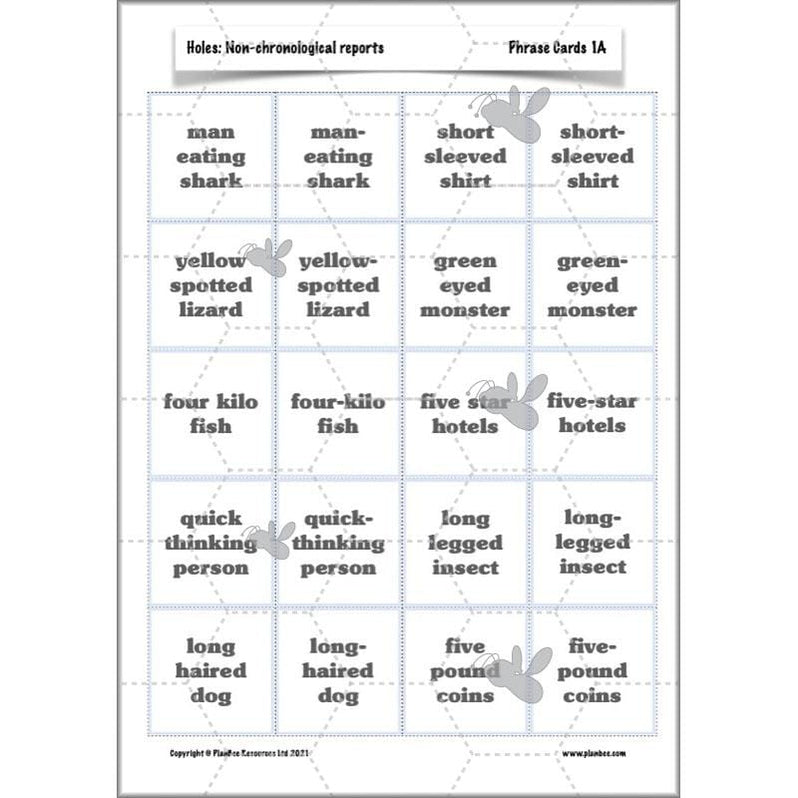 Holes Book Non-chronological Reports Pack Year 5 | PlanBee