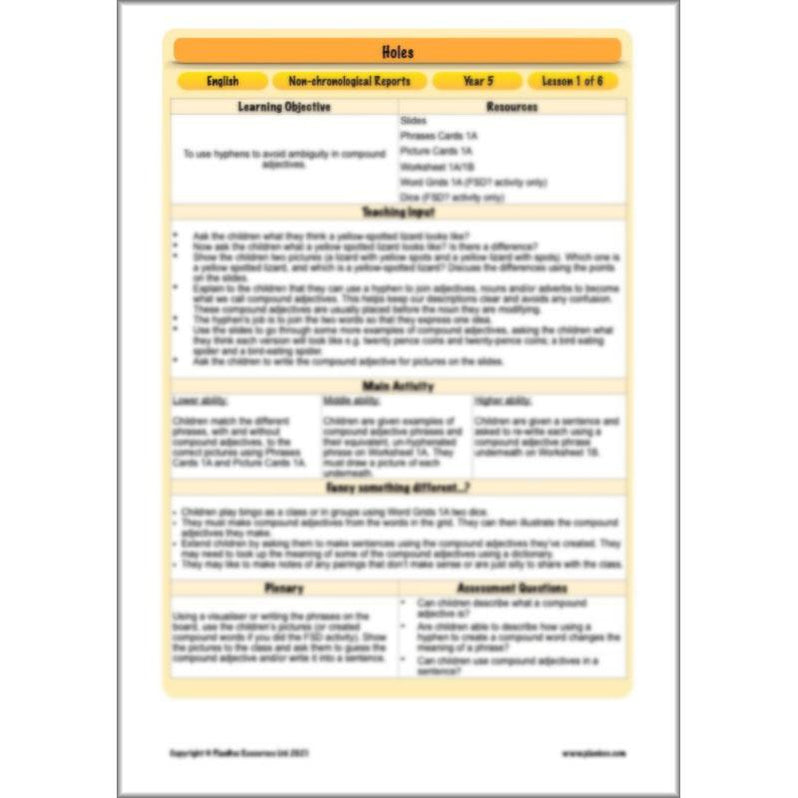 Holes Book Non-chronological Reports Pack Year 5 | PlanBee